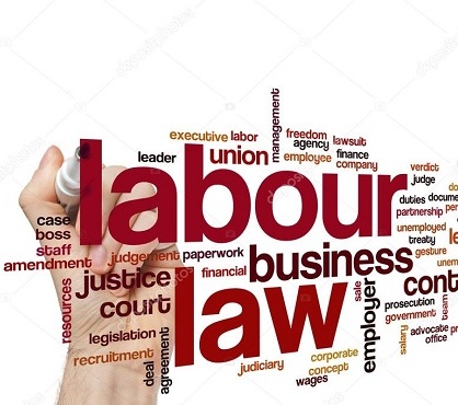 Draft the internal labour regulations